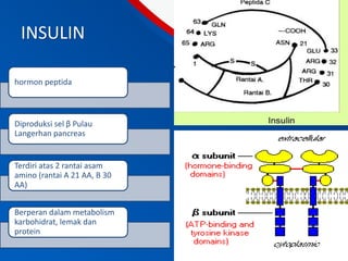 ASUHAN KEFARMASIAN DIABETES MELLITUS Hisfarsi.pdf