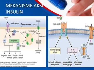 ASUHAN KEFARMASIAN DIABETES MELLITUS Hisfarsi.pdf