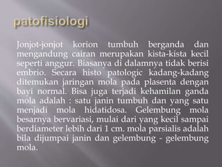 Asuhan Keperawatan.ppt..pptx