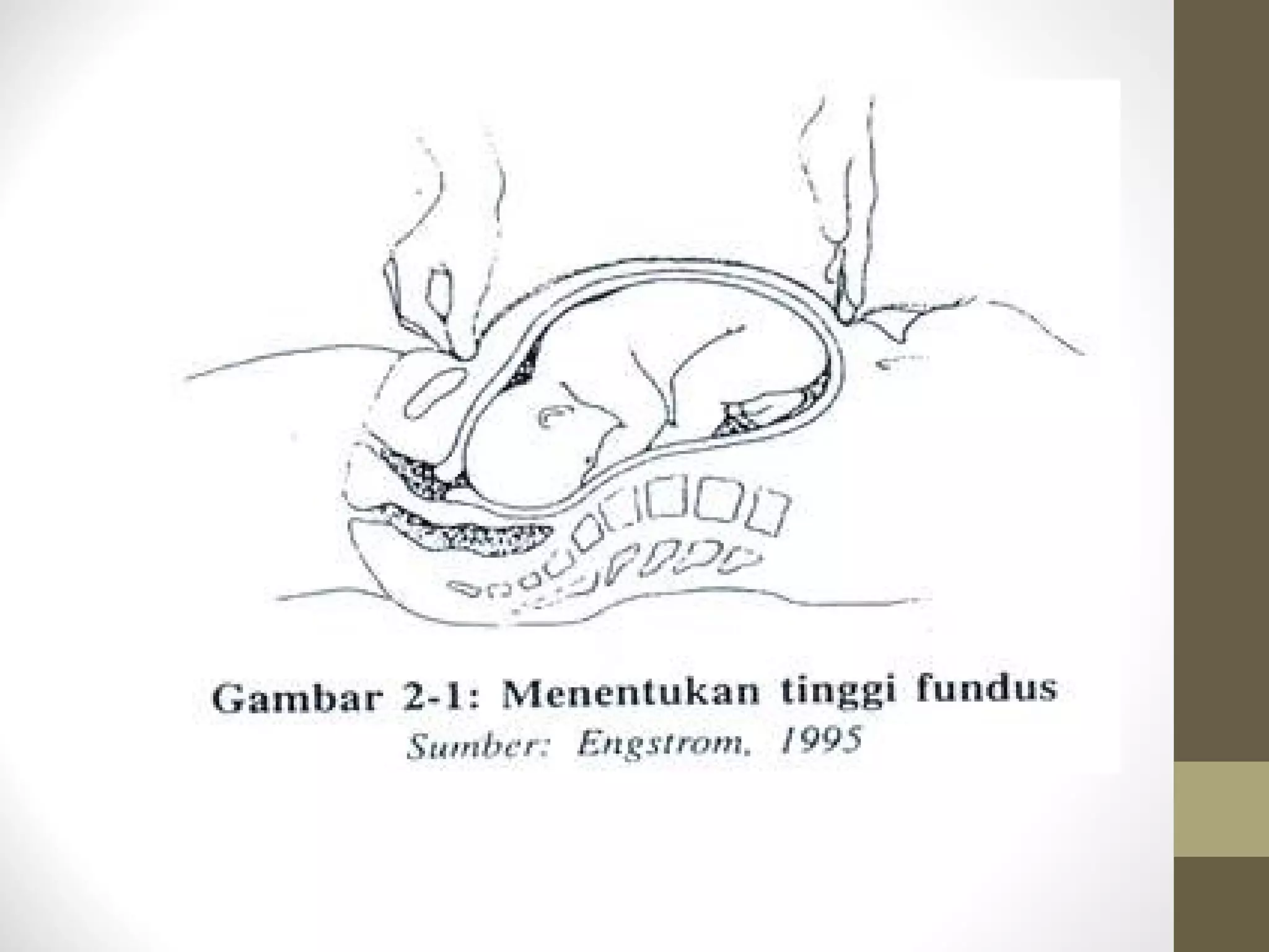 Asuhan keperawatan intranatal | PPT