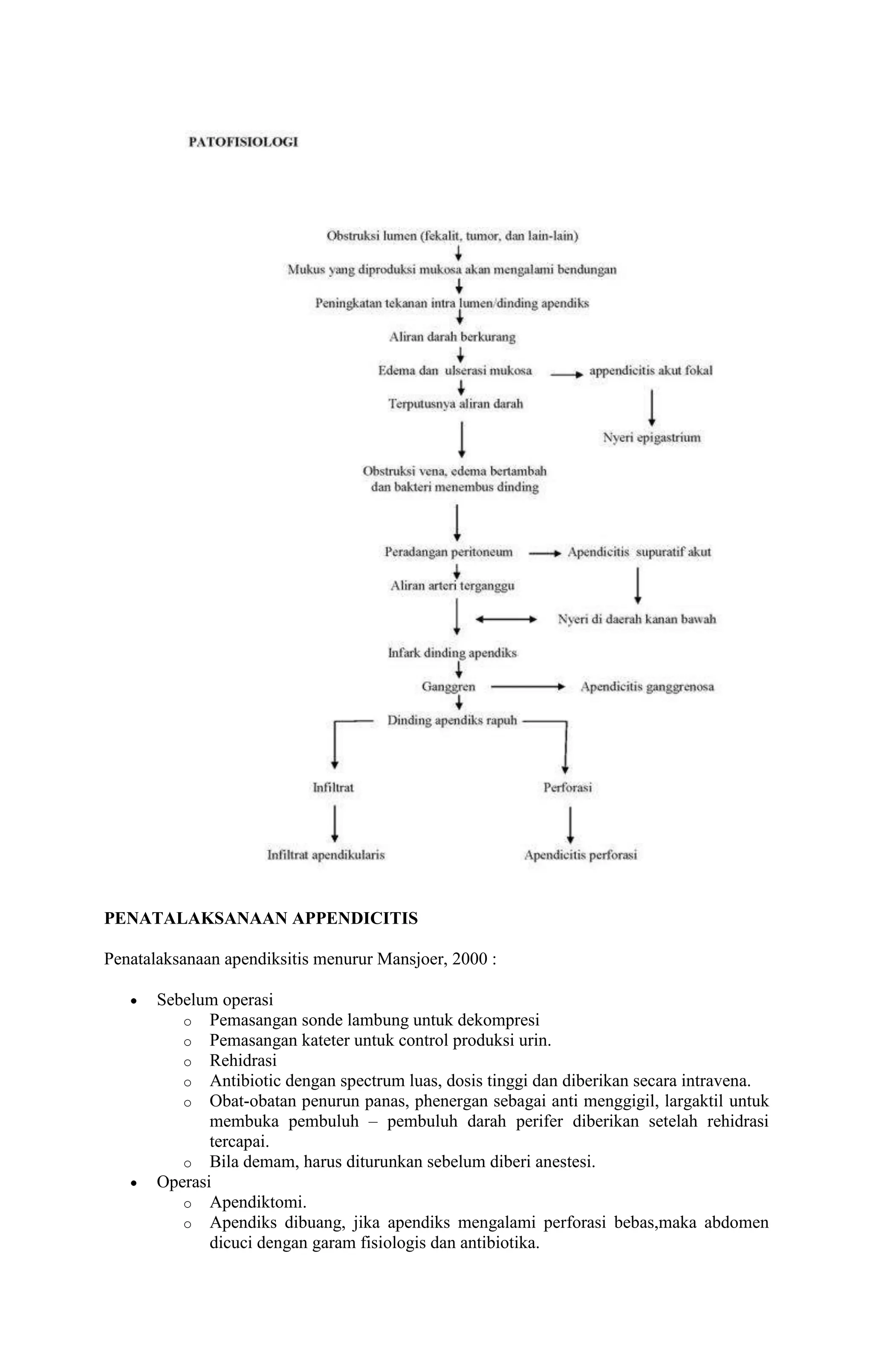 Asuhan keperawatan klien dengan appendicitis AKPER MUNA | DOCX