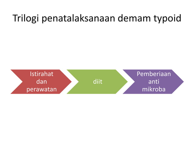 Asuhan keperawatan pada pasien dengan demam typoid.pptx