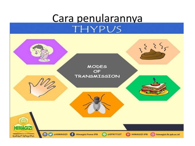 Asuhan keperawatan pada pasien dengan demam typoid.pptx