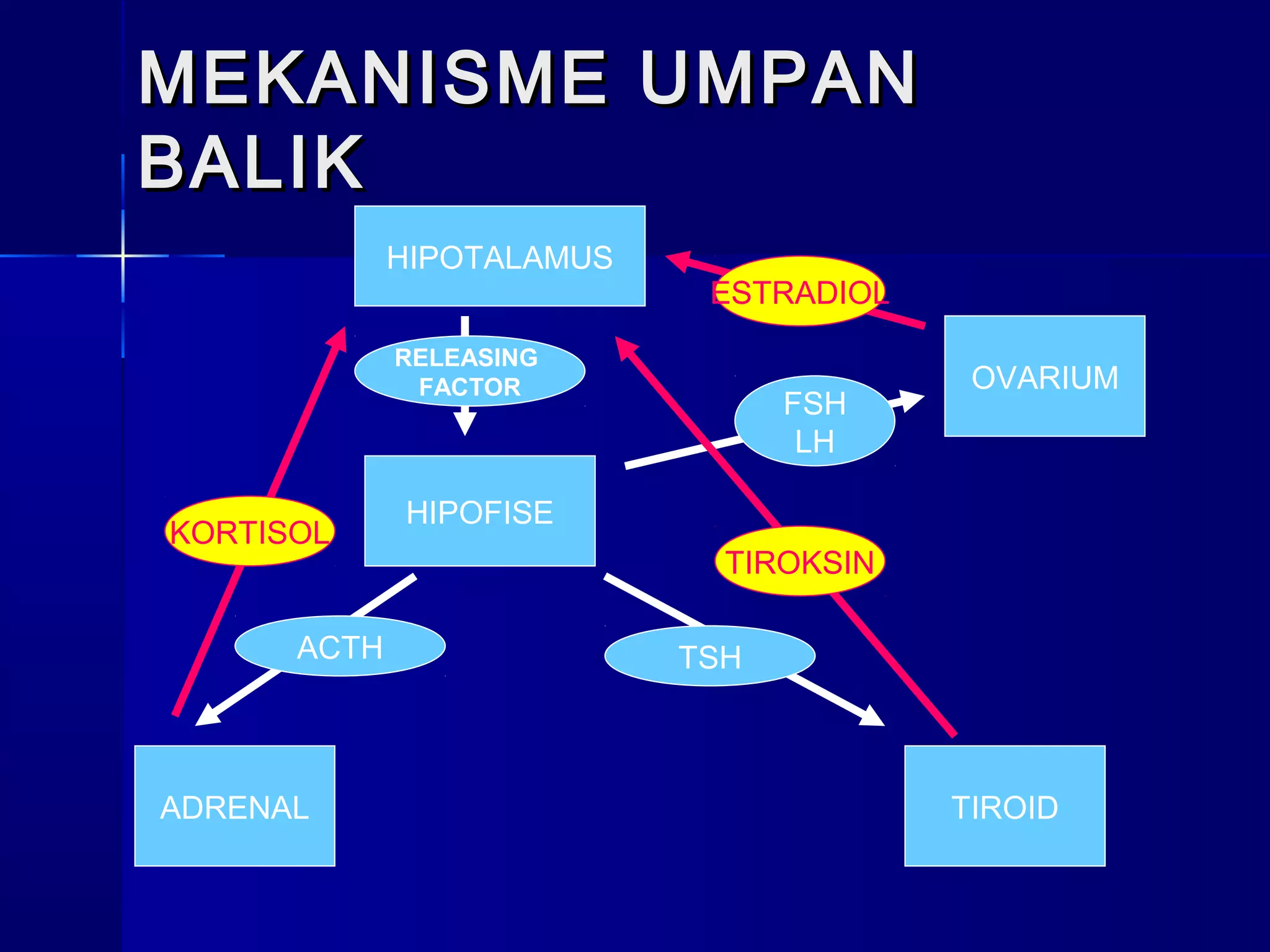 Asuhan keperawatan pada sistem endokrin | PPT