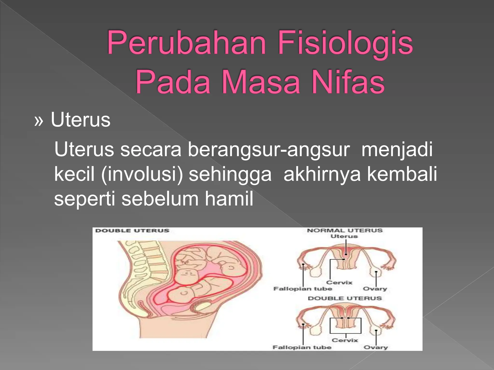 Asuhan keperawatan pada Ibu dalam masa Setelah Melahirkan | PPTX