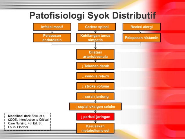 ppt_Penatalaksanaan Syok (Adam_FIK UI) | PDF