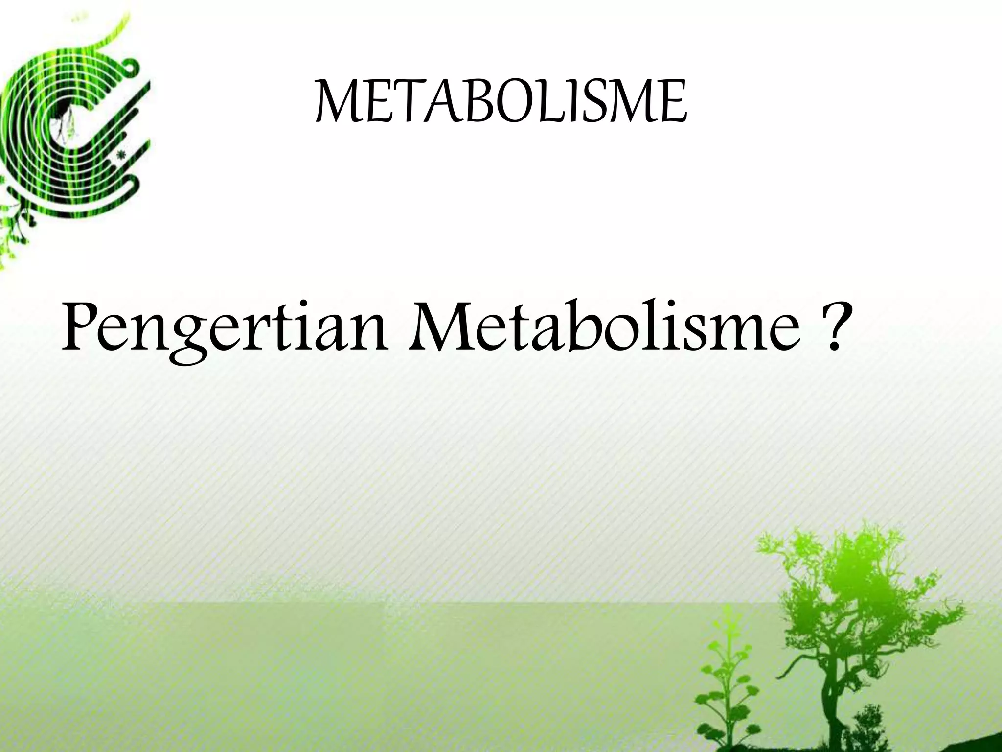 Metabolisme Pada Bumil | PPTX