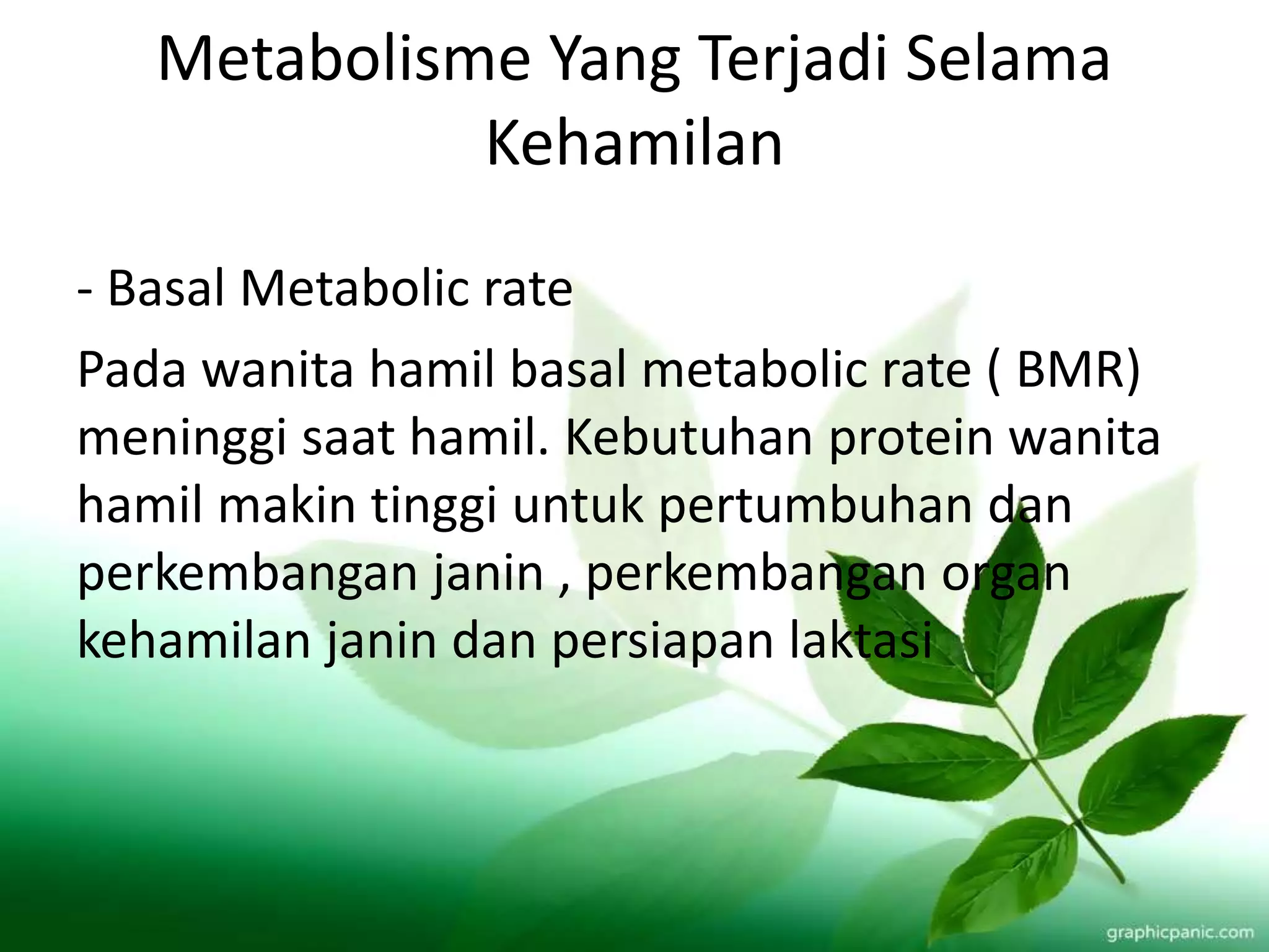 Metabolisme Pada Bumil | PPTX