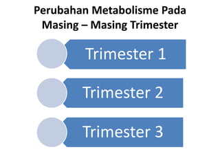 Metabolisme Pada Bumil | PPTX