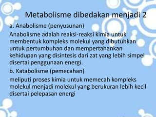 Metabolisme Pada Bumil | PPTX
