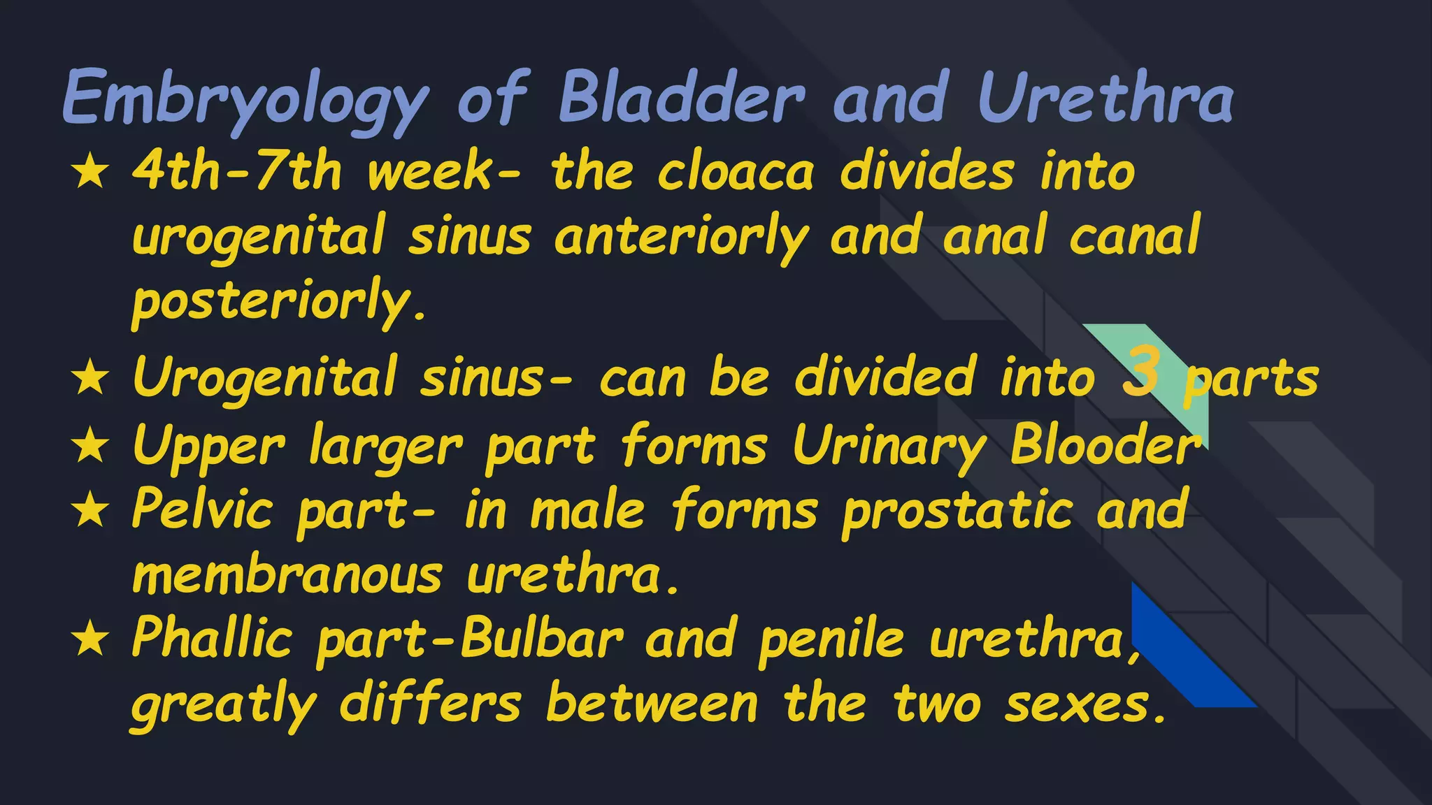 ASU & MCU --- RADIOLOGY IMAGING PROCEDURE | PPTX