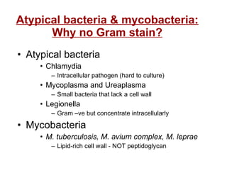 A summary of pharmaceutical microbiology part 1 - bugs | PPT