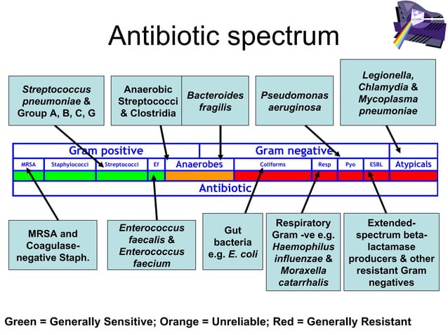 A Summary Of Pharmaceutical Microbiology Part 2 Drugs a-summary-of-pharmaceutical-microbiology-part-2-drugs