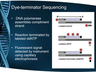 A Summary Of Recent Advances In Dna Sequencing 2 24 10 Sc | PPT ...