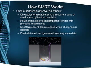 A Summary Of Recent Advances In Dna Sequencing 2 24 10 Sc | PPT ...