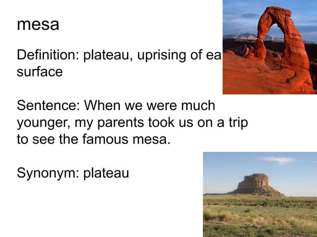 A summer's trade vocabulary lesson | PPTX