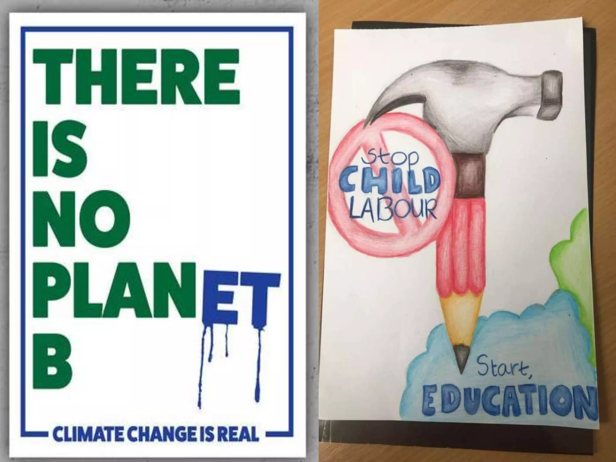 A sustainability 3 poster class | PPT