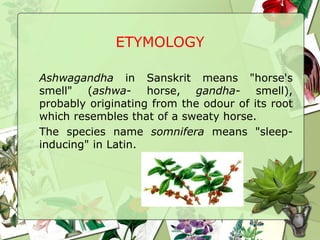 Aswagandha | PPTX