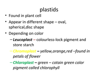 Cell structure and organisation | PPT