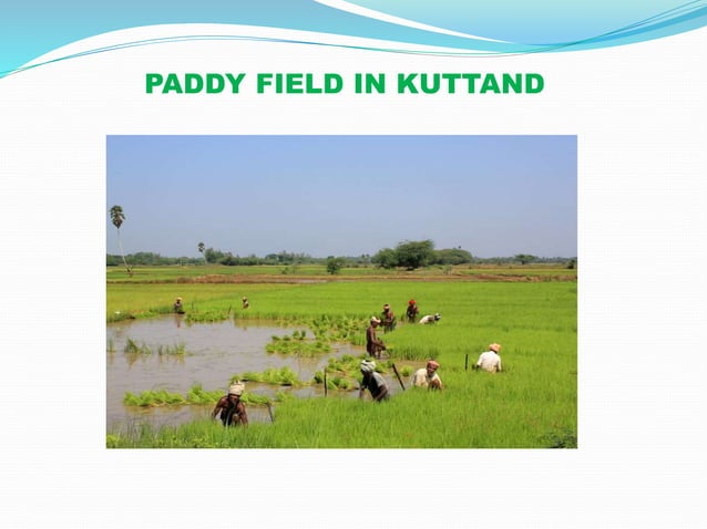 "OCCUPATION OF KUTTANAD" | PPT