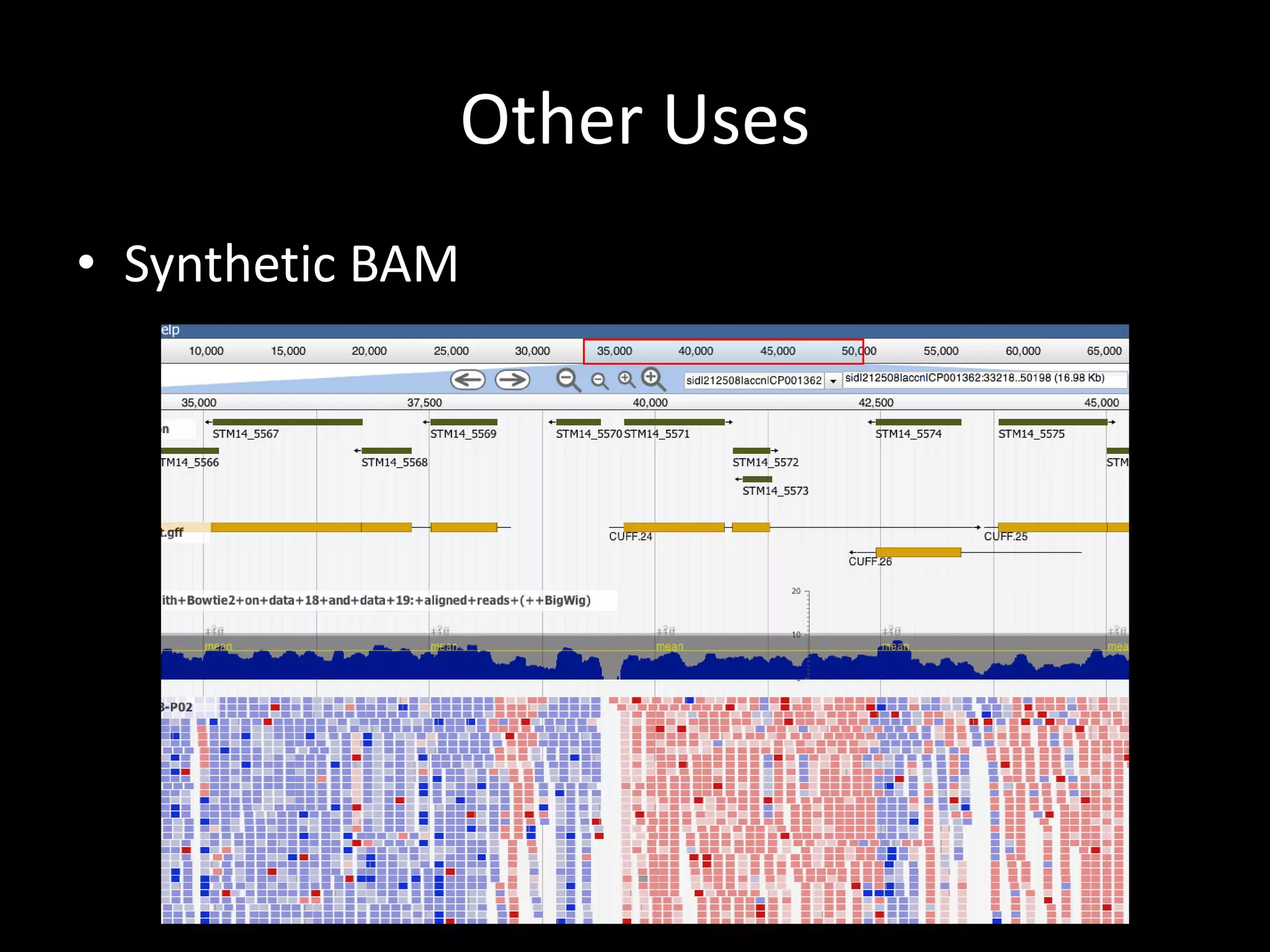 Pan-genome Graphs biodata14 | PPTX