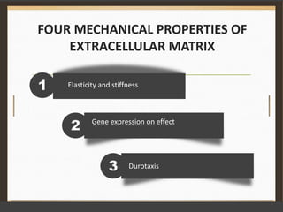 Extracellular matrix | PPTX