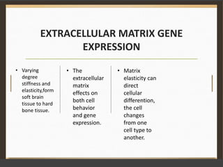 Extracellular matrix | PPTX