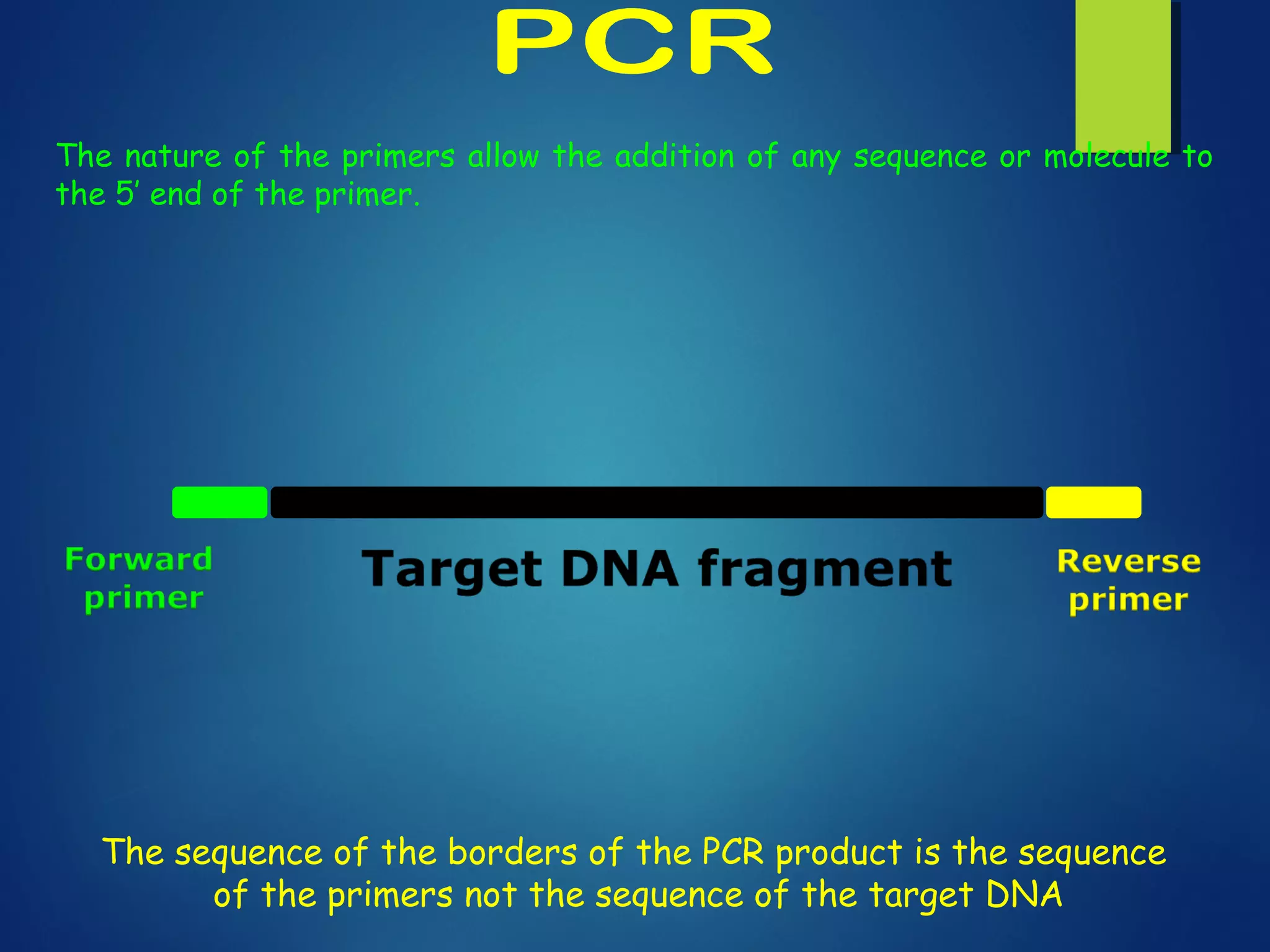 Asymetric -PCR | PPT