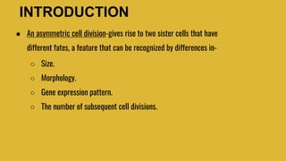 Asymmetric cell division. | PPTX