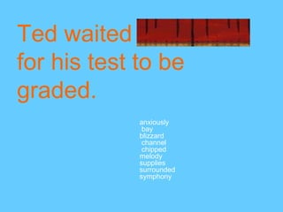 A symphony of whales vocabulary | PPT