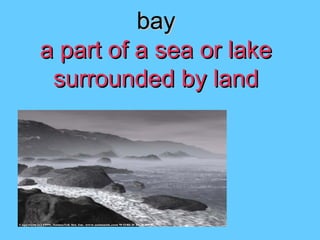 A symphony of whales vocabulary | PPT