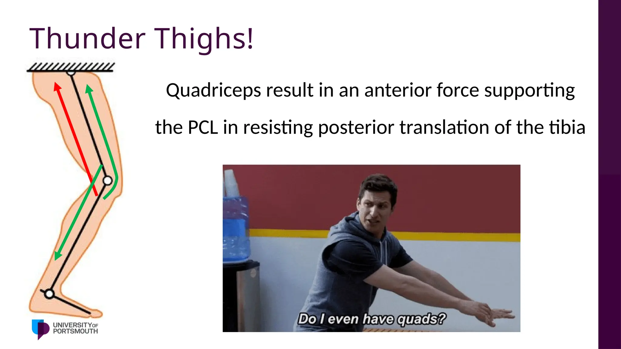 Asynch - Treatment and Early Rehabilitation of PCL Injuries.pptx