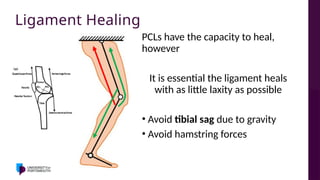 Asynch - Treatment and Early Rehabilitation of PCL Injuries.pptx