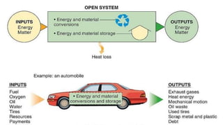 A systems approach in geography | PPTX