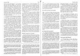 BIBLIA CATOLICA, ANTIGUO TESTAMENTO, EXODO, PARTE 5 DE 47 | PDF