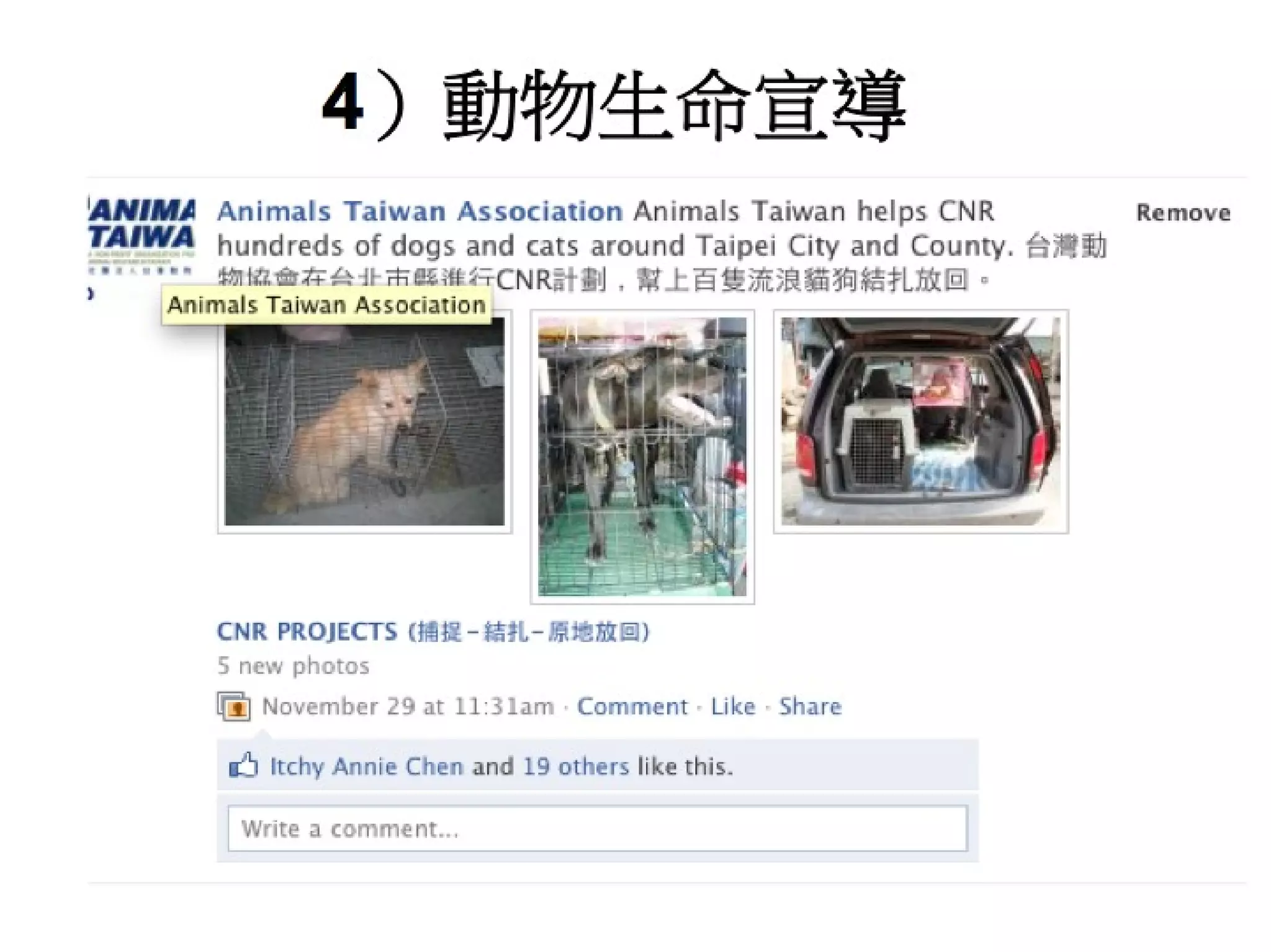 Animals Taiwan @ Facebook | ODP