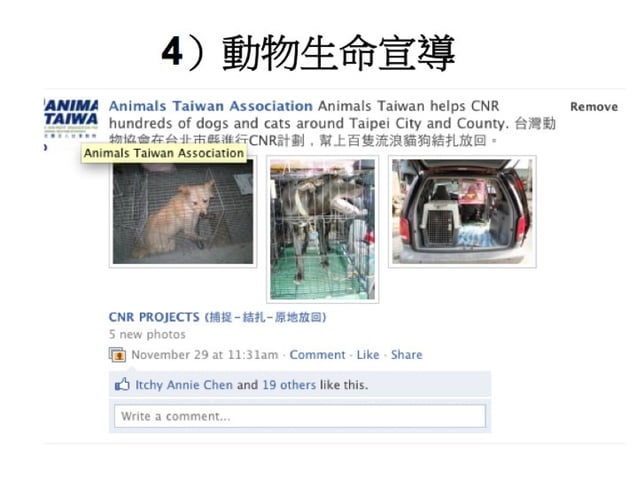 Animals Taiwan @ Facebook | ODP | Social Networking | Internet