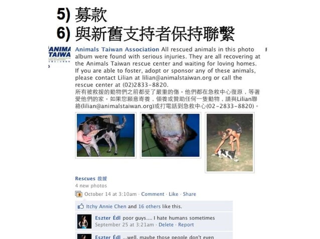 Animals Taiwan @ Facebook | ODP | Social Networking | Internet