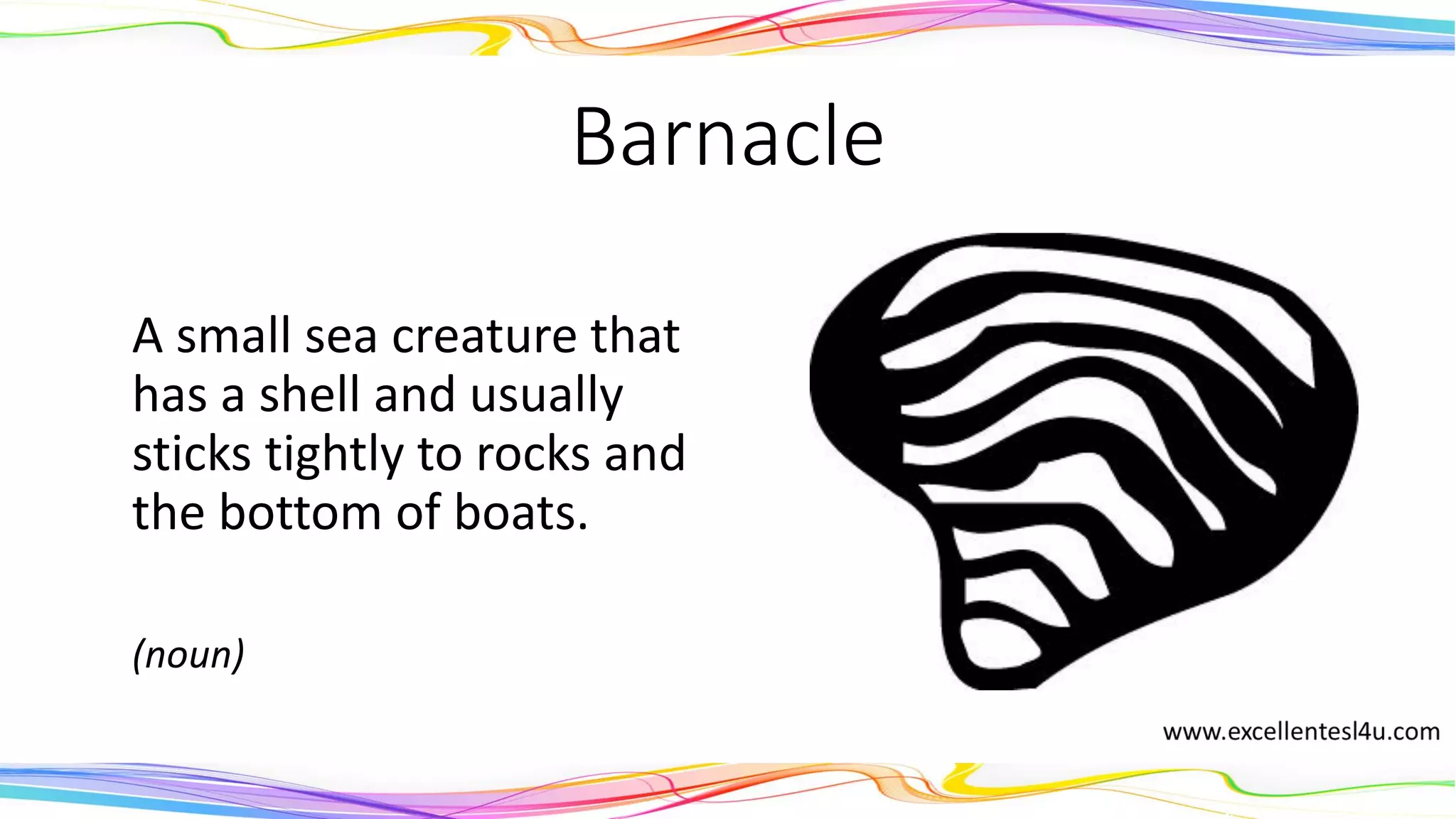 ESL at the beach flashcards | PDF