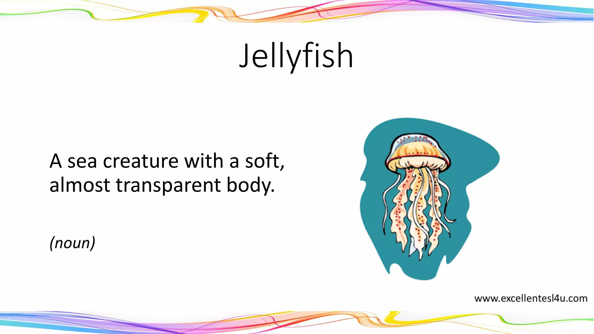 ESL at the beach flashcards | PDF