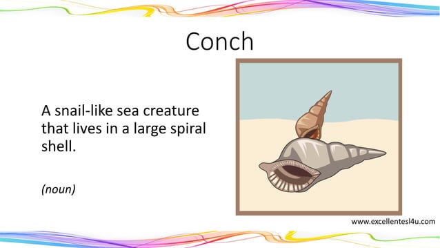 ESL at the beach flashcards | PDF | Surfing and Bodyboarding | Extreme ...