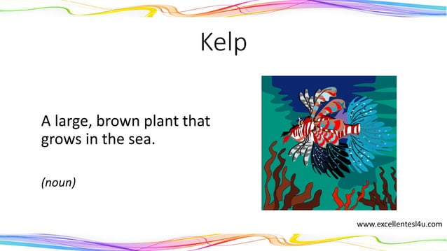 ESL at the beach flashcards | PDF | Surfing and Bodyboarding | Extreme ...