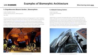 AT1 - Characteristics of Biomorphic Design Condensed.pptx