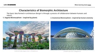 AT1 - Characteristics of Biomorphic Design Condensed.pptx