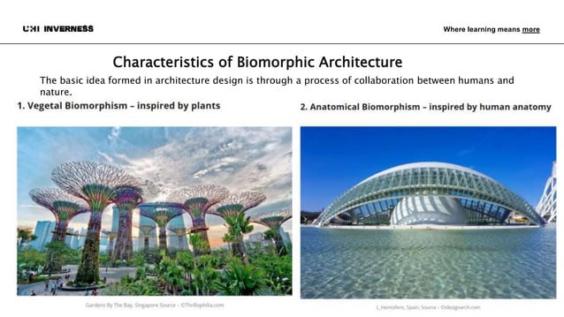 AT1 - Characteristics of Biomorphic Design Condensed.pptx | Science