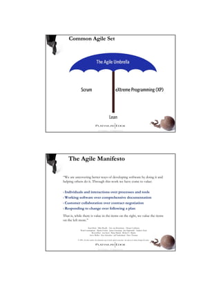 The Business Analyst’s Critical Role in Agile Projects | PDF