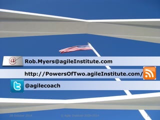 Assessing Agile Engineering Practices | PDF | Programming Languages | Computing