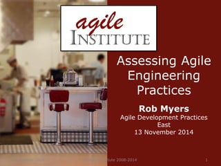 Assessing Agile Engineering Practices | PDF | Programming Languages | Computing
