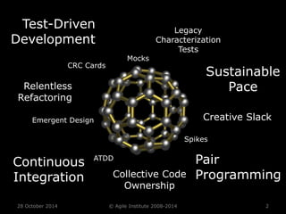 Assessing Agile Engineering Practices | PDF | Programming Languages | Computing