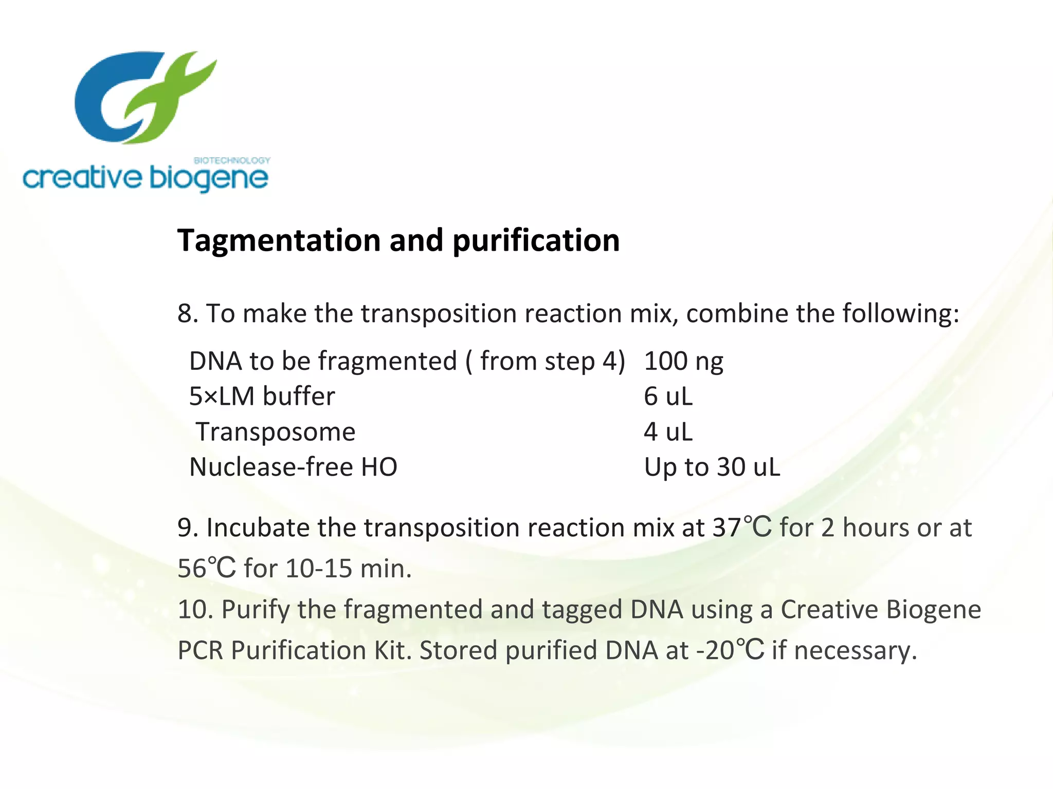 ATAC-seq protocol--Creative Biogene | PPT